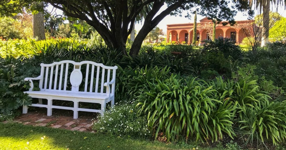 Open Gardens SA | Beaumont House
