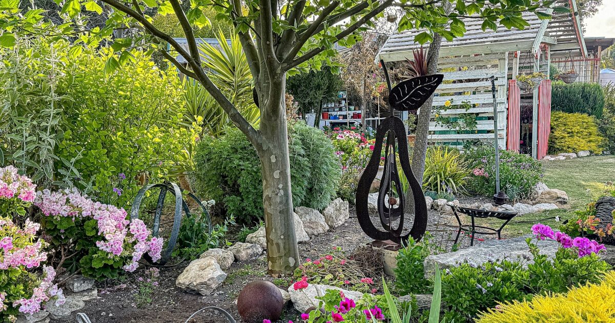 Open Gardens SA | Fiddlestix