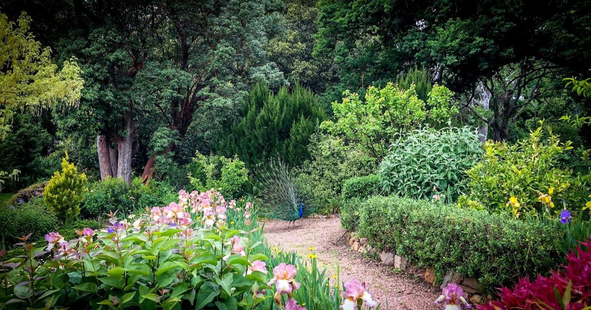Open Gardens SA | Kenton Park