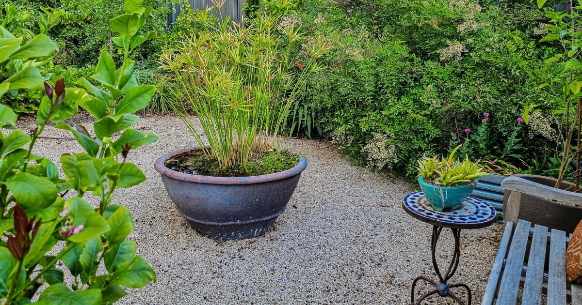 Open Gardens SA | Pam's Garden
