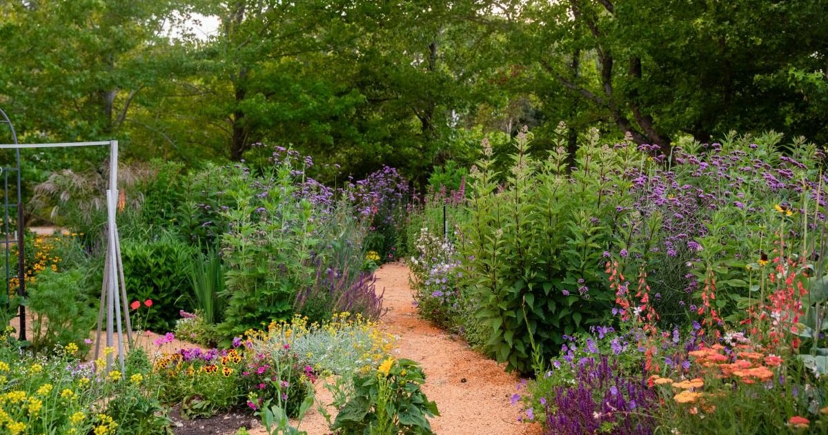 Open Gardens SA | The Big Little Garden