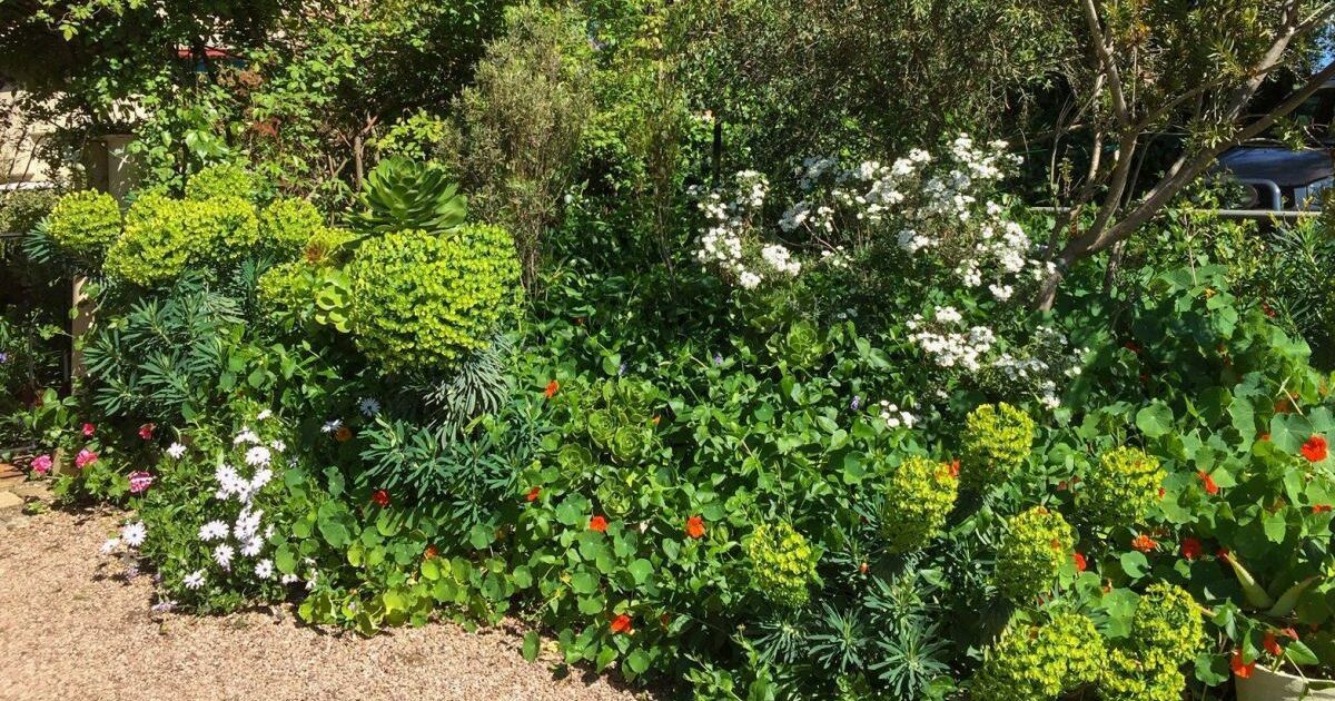 Open Gardens SA | Tickle Tank